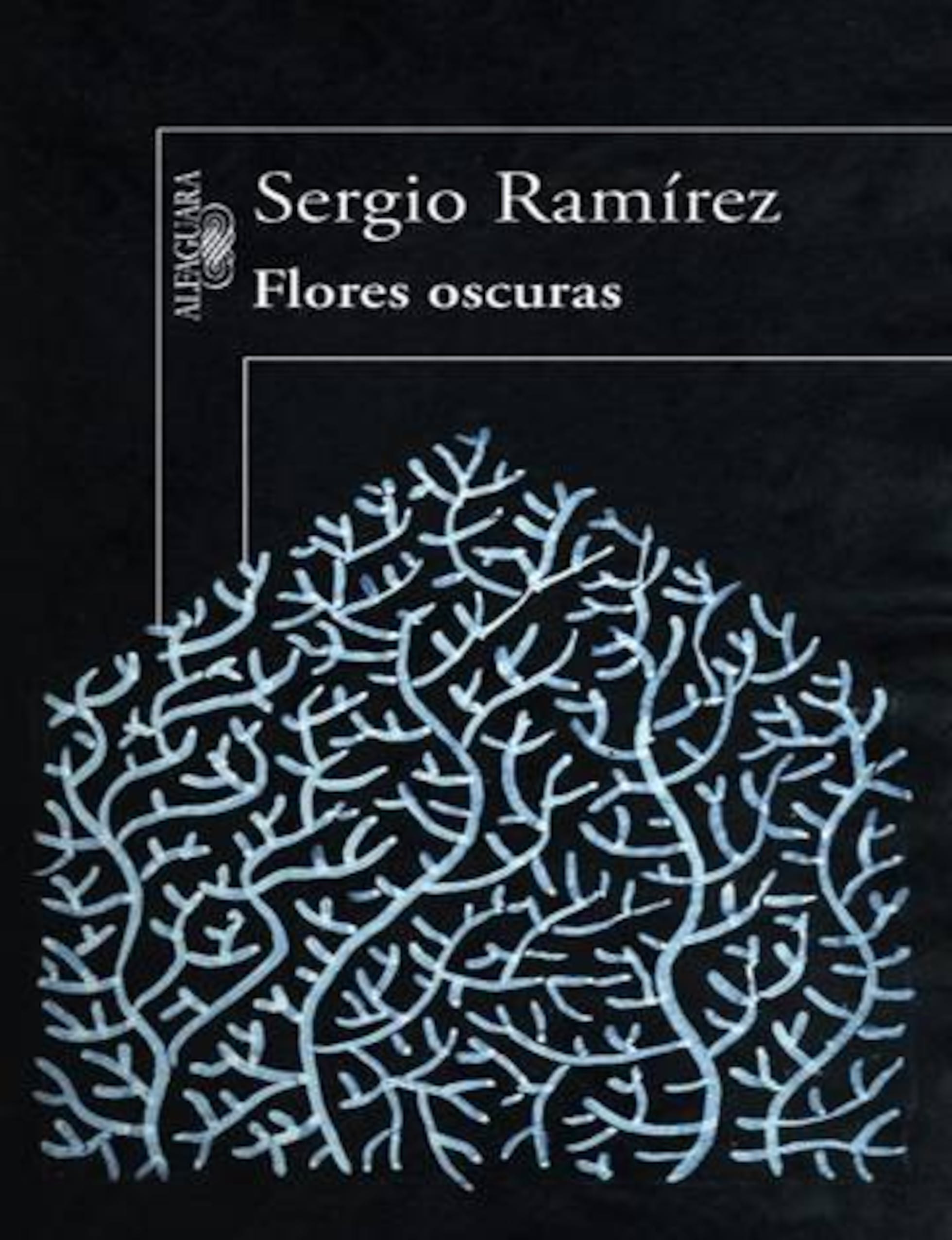 10 libros de Sergio Ramírez, premio Cervantes 2017 | Escaparate ...
