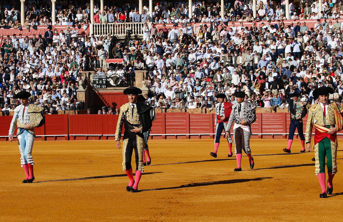 Toros: Los toros hacen el paseíllo en la Universidad de Sevilla ...