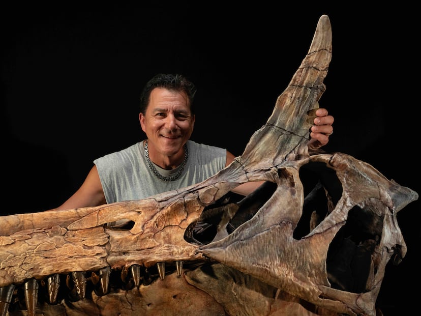 A ‘wonderful’ new dinosaur species with a colorful crest is unearthed ...
