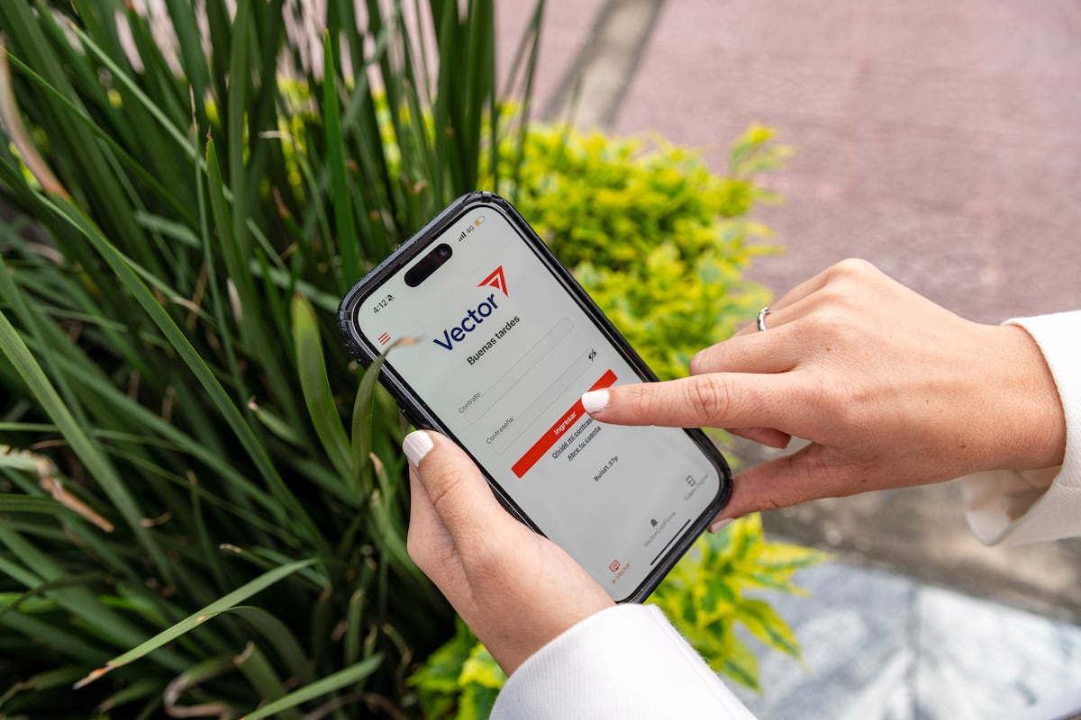 La CNBV revoca la licencia para operar de Vector, la casa de bolsa ...