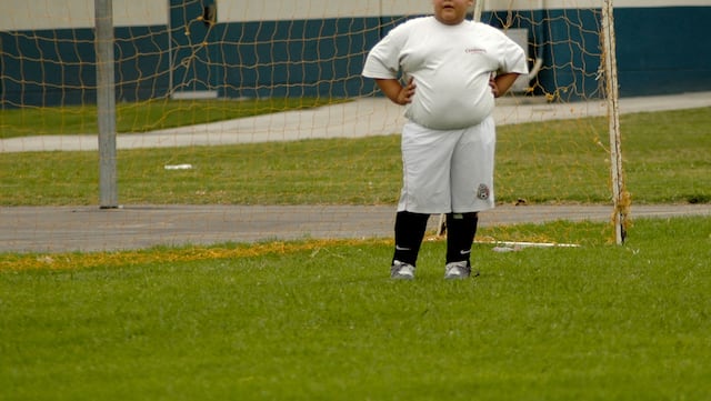 Por primera vez, la obesidad supera al bajo peso como forma de ...
