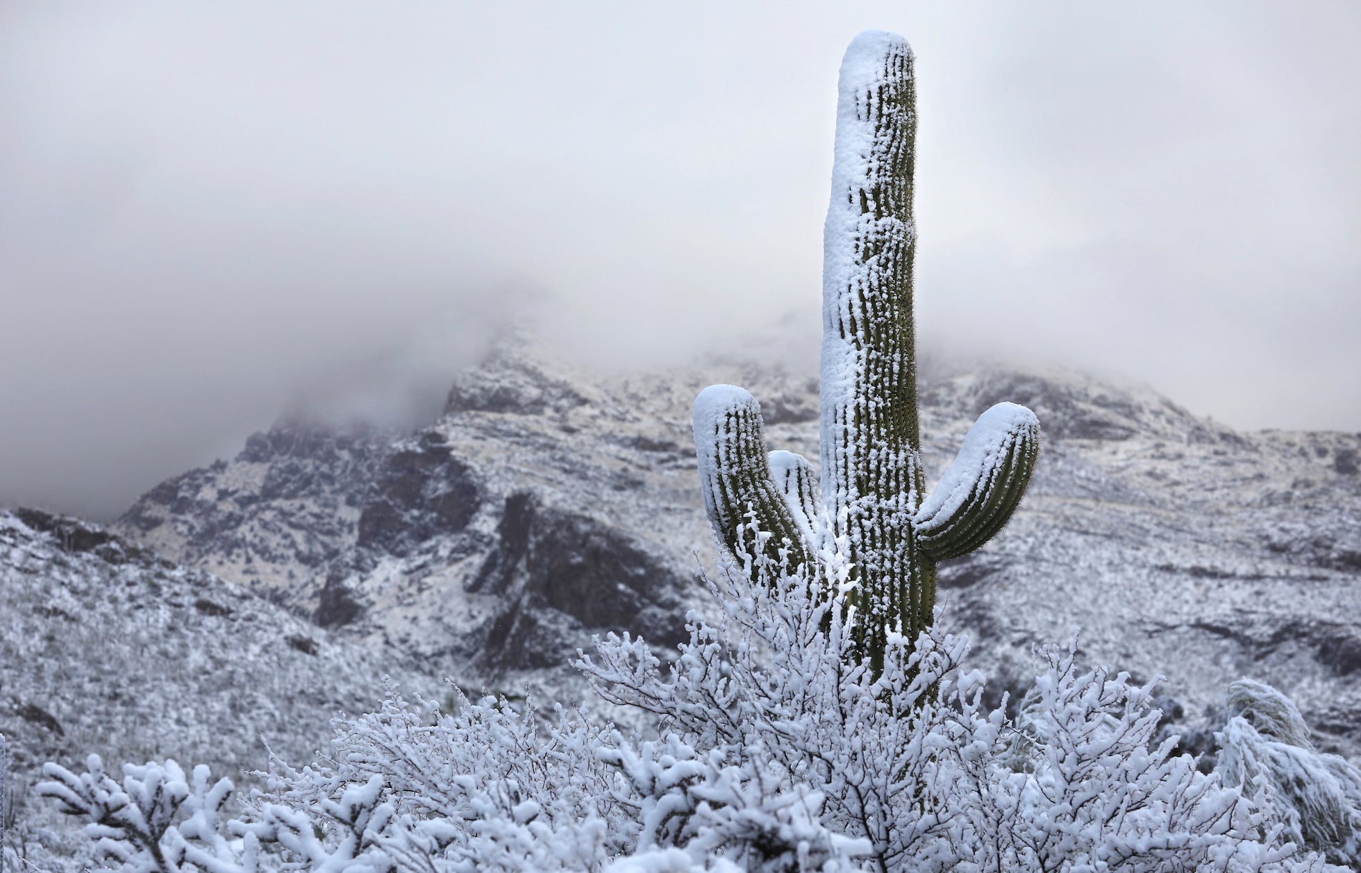 La nieve cubre el desierto de Arizona, en imágenes | Fotos ...