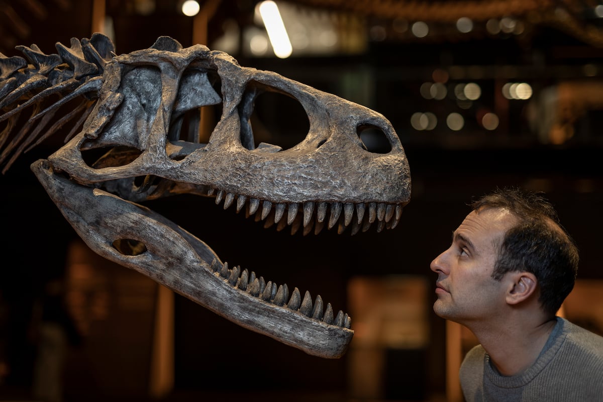 Steve Brusatte, paleontólogo: “Lo más terrible del tiranosaurio no eran ...