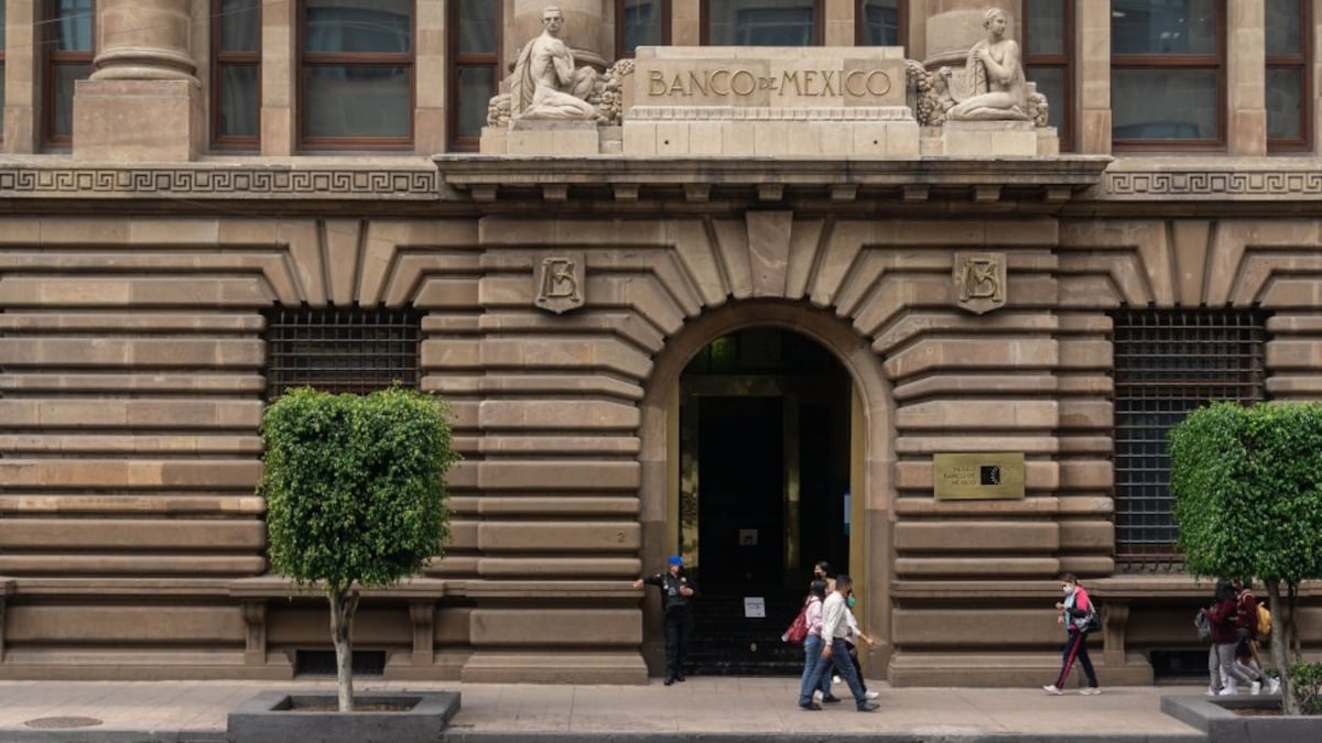 Aumento en el ahorro recurrente y nuevos plazos: así cambian los CETES ...