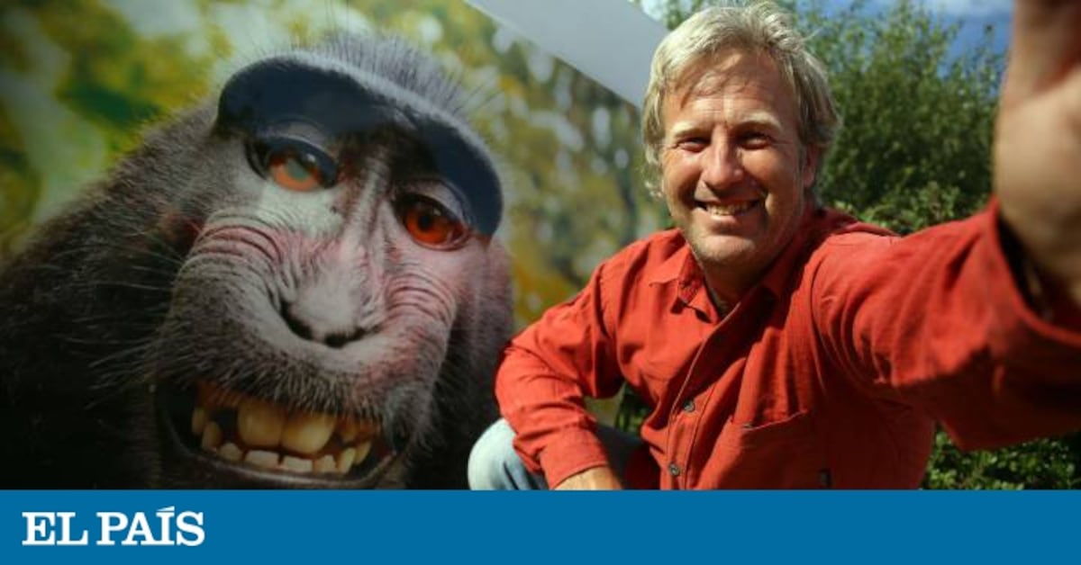 El macaco saca provecho de su ‘selfie’ | Cultura | EL PAÍS