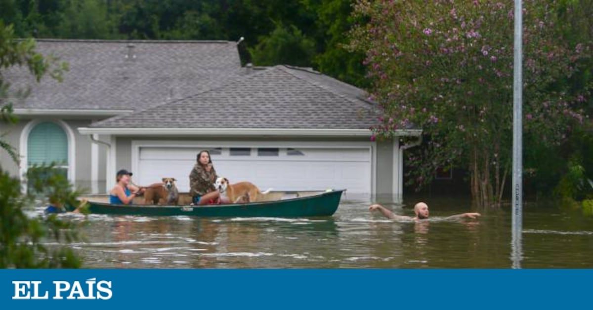 Texas: El huracán ‘Harvey’ castiga Houston con inundaciones sin ...