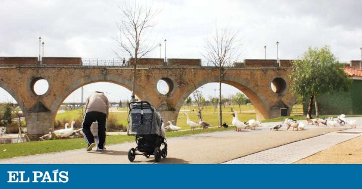 Wildlife in Spain: Lovable pests? Badajoz wonders what to do with all ...