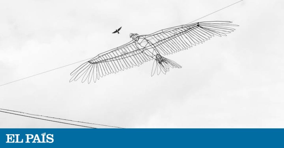‘Echar a volar’ (3/6) | Opinión | EL PAÍS