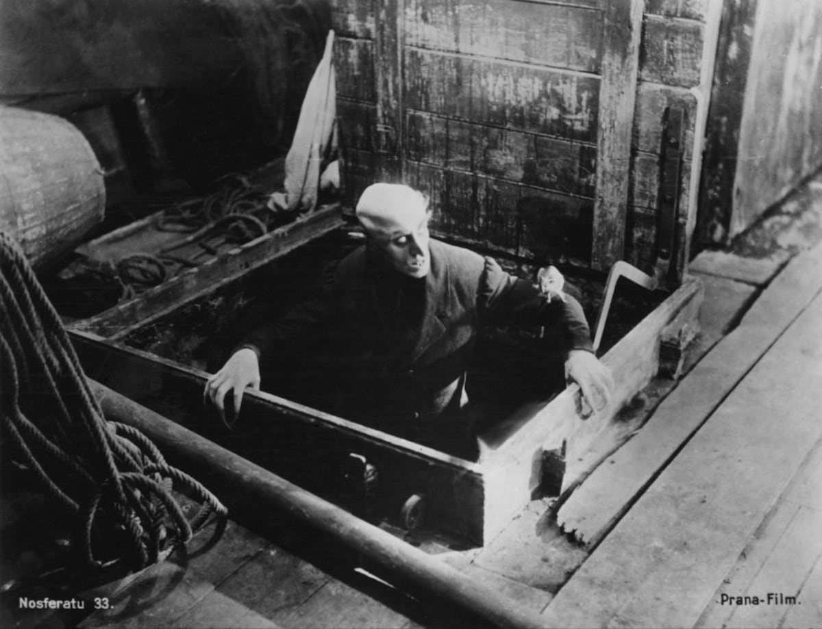 Las ratas creadas con IA son las primeras en abandonar el barco ...