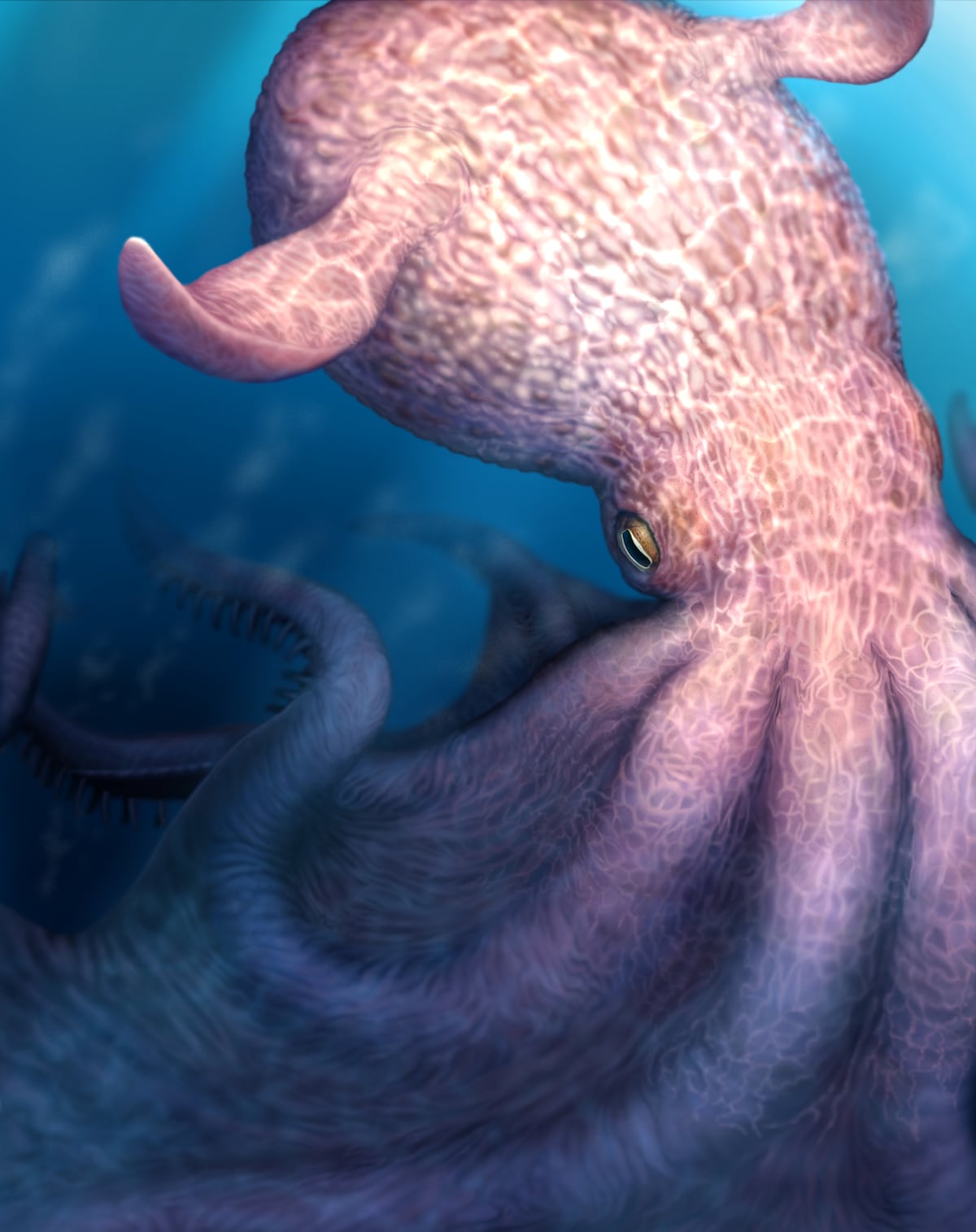 The kraken was real: scientists discover a 100-million-year-old ...