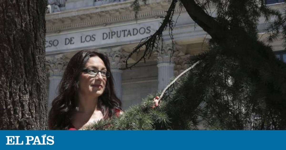 Sol Sánchez: “El acuerdo con Podemos está roto, queremos ser el ...
