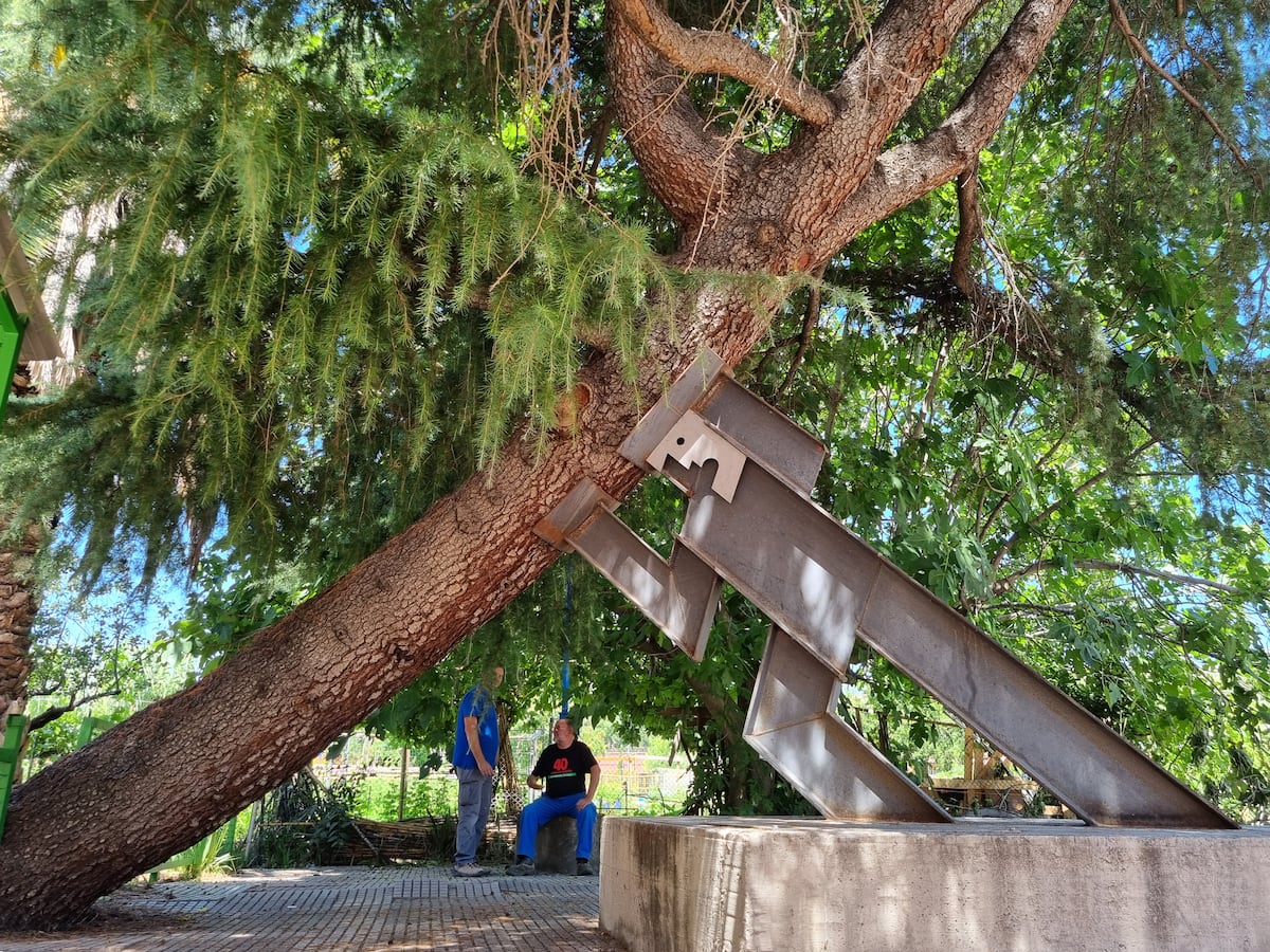 Cómo salvar al árbol torcido (y por qué es importante) | Estilo de vida ...