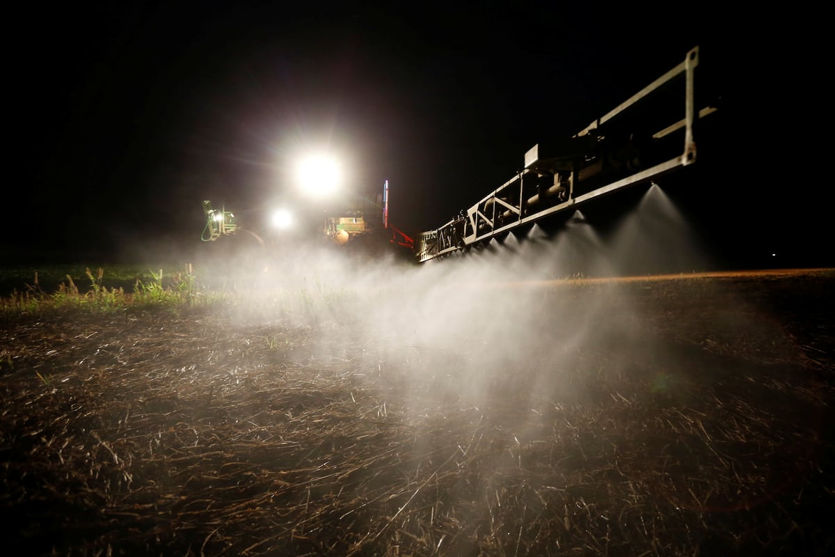 Óxido nitroso: La producción de comida desboca las emisiones de un ...