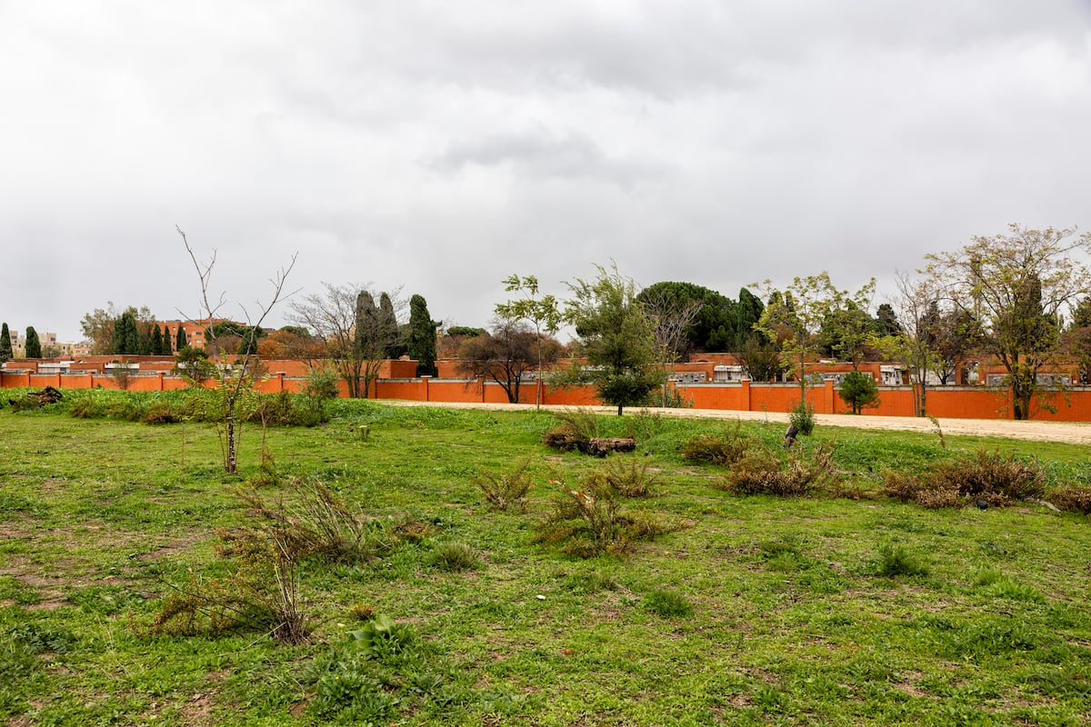 Éxito vecinal en el cantón de Montecarmelo: habrá que parar las obras ...