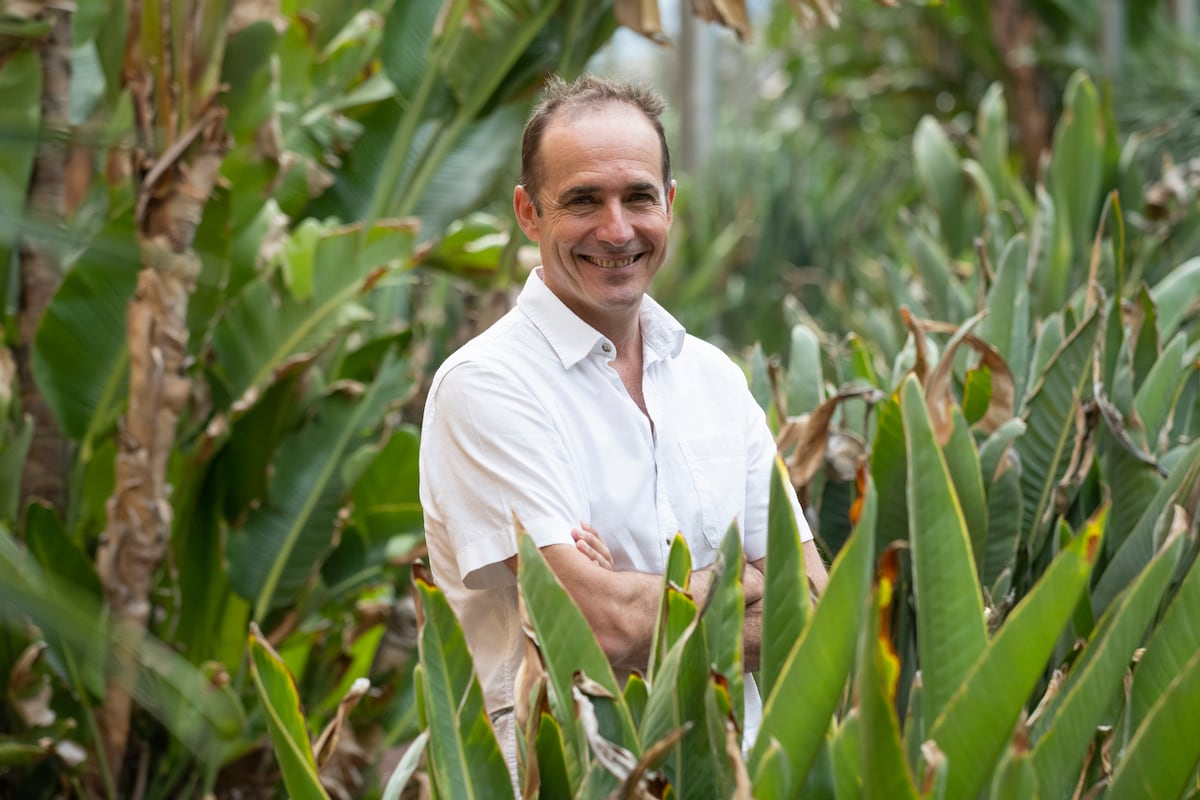 Paco Calvo, a philosopher of plant behavior: ‘Roots do amazing things ...