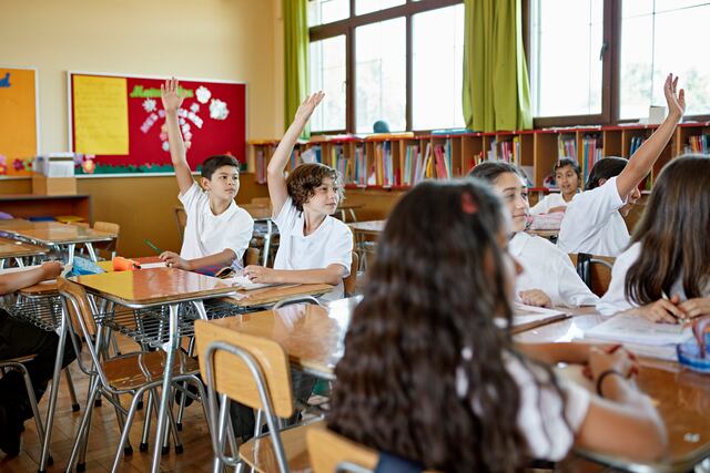 Sumar Saberes: el trabajo de una inteligencia colectiva | EL PAÍS Chile