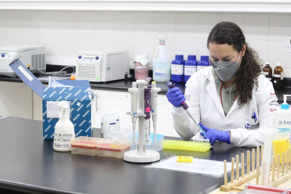 Molecular technology reveals that shark meat is being sold as corvina ...