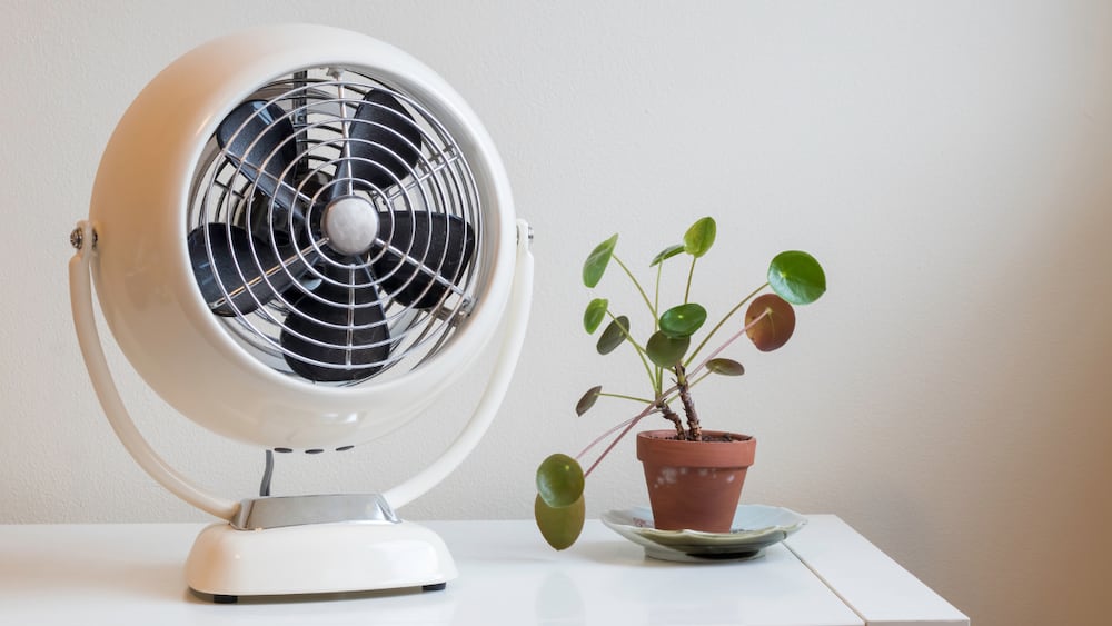 Ventiladores de escritorio para trabajar sin derretirte: cuatro modelos ...