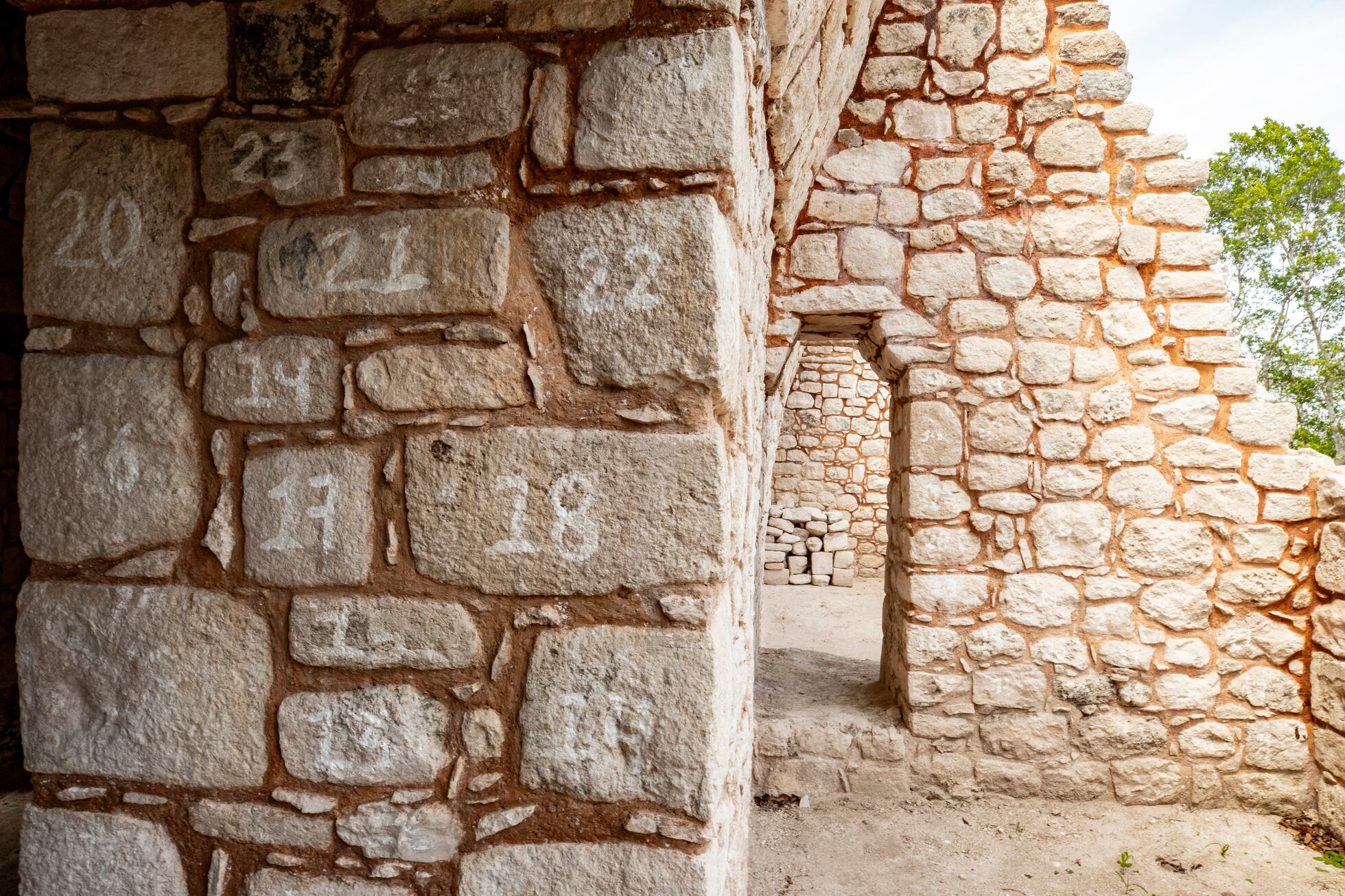 Nuevos hallazgos para entender la vida en la civilización maya: “Es un ...