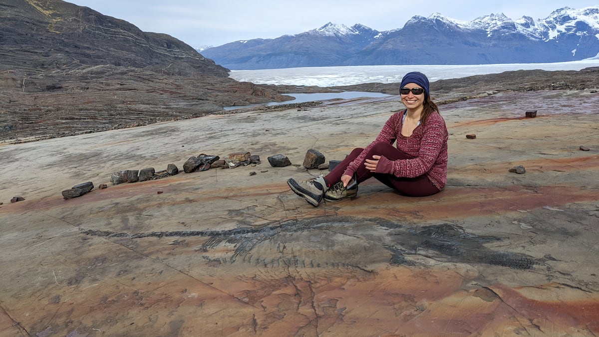 Fiona, la primera ictiosauria ‘embarazada’ y recuperada de la Patagonia ...