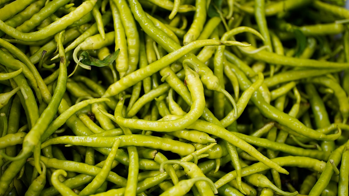 Piparras: de dónde vienen y cómo se usan las guindillas estrella del ...