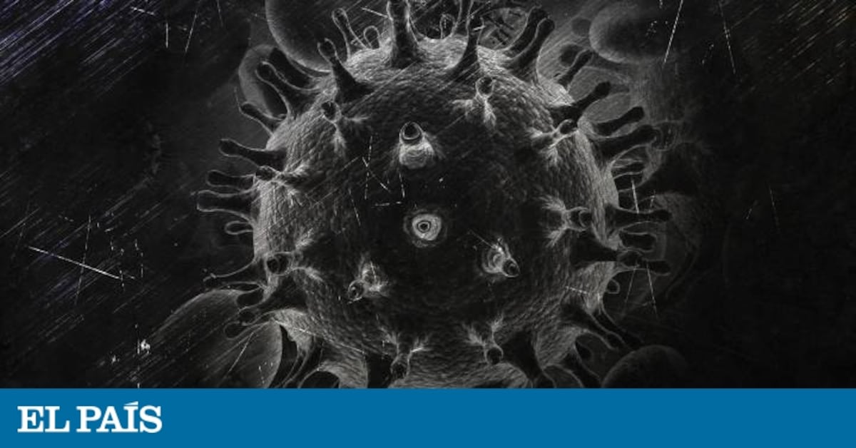 VIH / sida: 35 años del descubrimiento de aquel extraño y mortal virus | Planeta Futuro | EL PAÍS