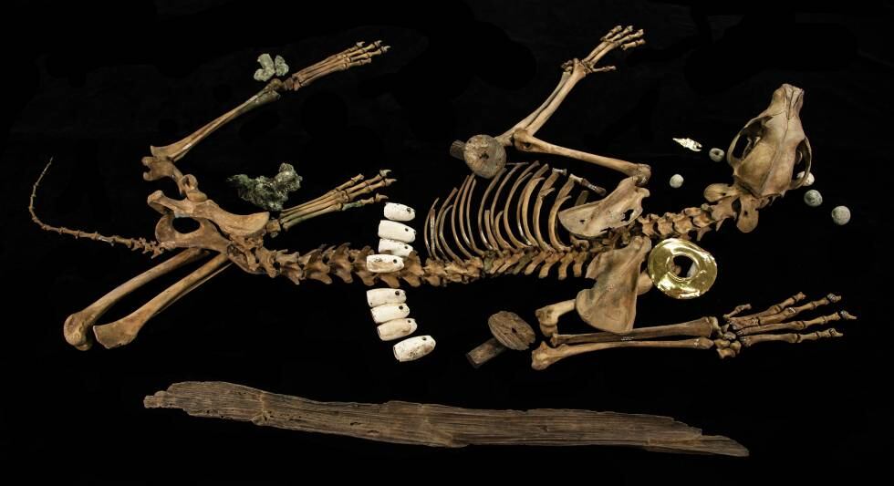 Animales de Tenochtitlan | Fotos | Cultura | EL PAÍS