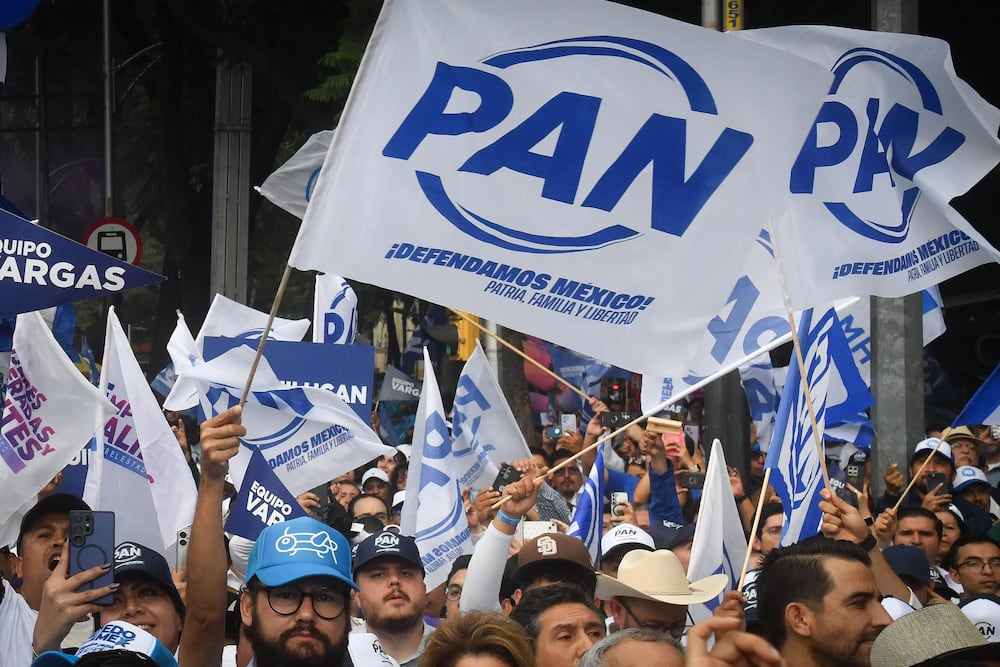 Romero, Salinas Pliego y la subrogación del PAN | Opinión | EL PAÍS México