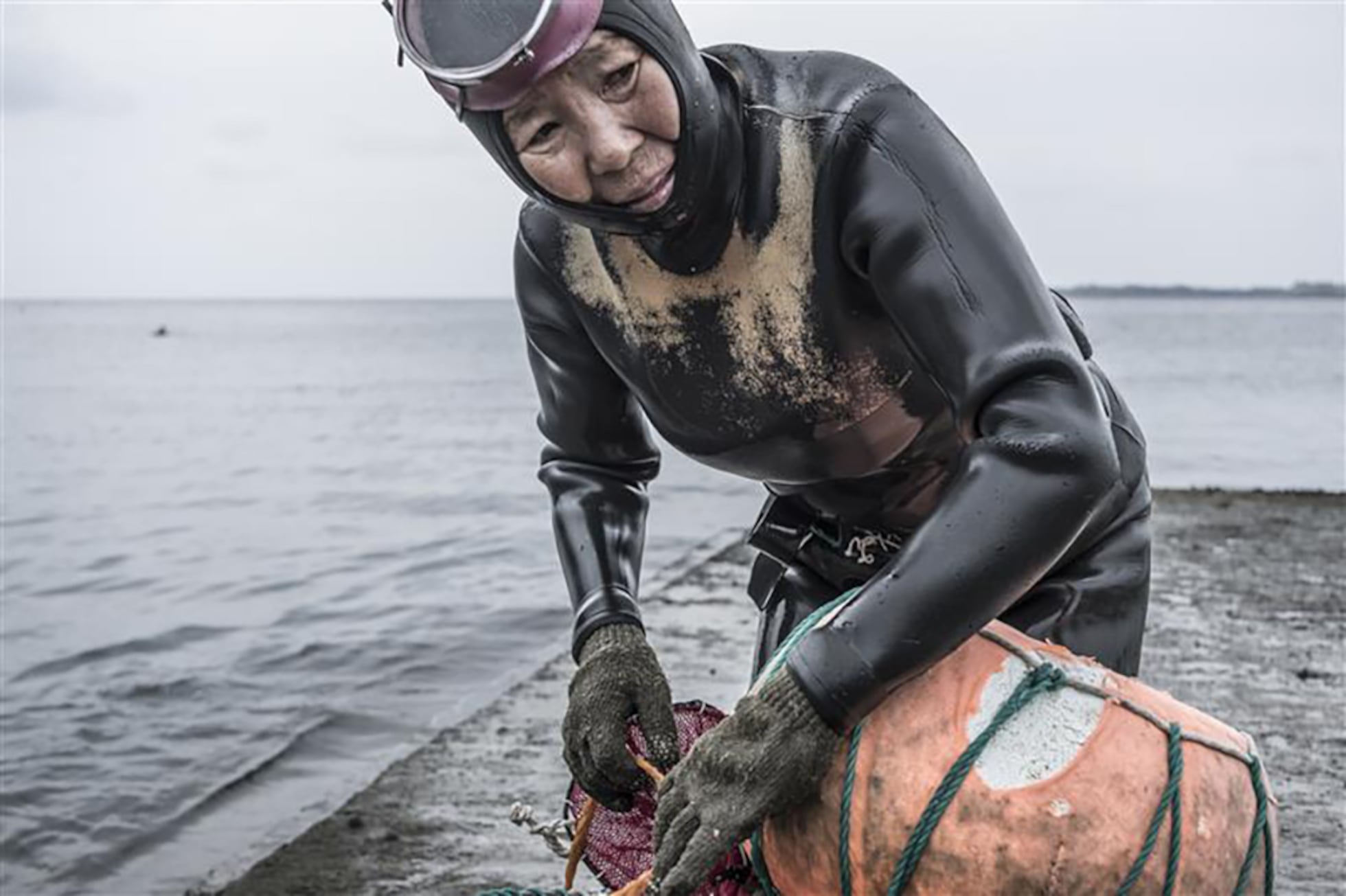 Haenyeo DNA reveals how the human body can adapt to extreme diving ...