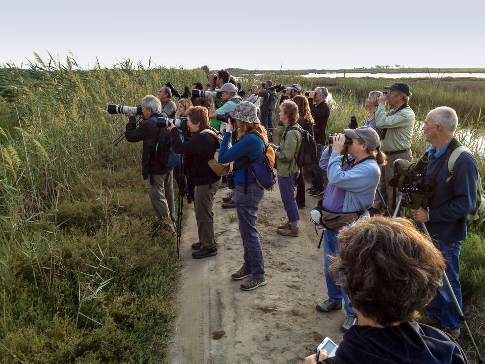 Una década ya del Delta Birding Festival: ¡feliz aniversario pajareros ...