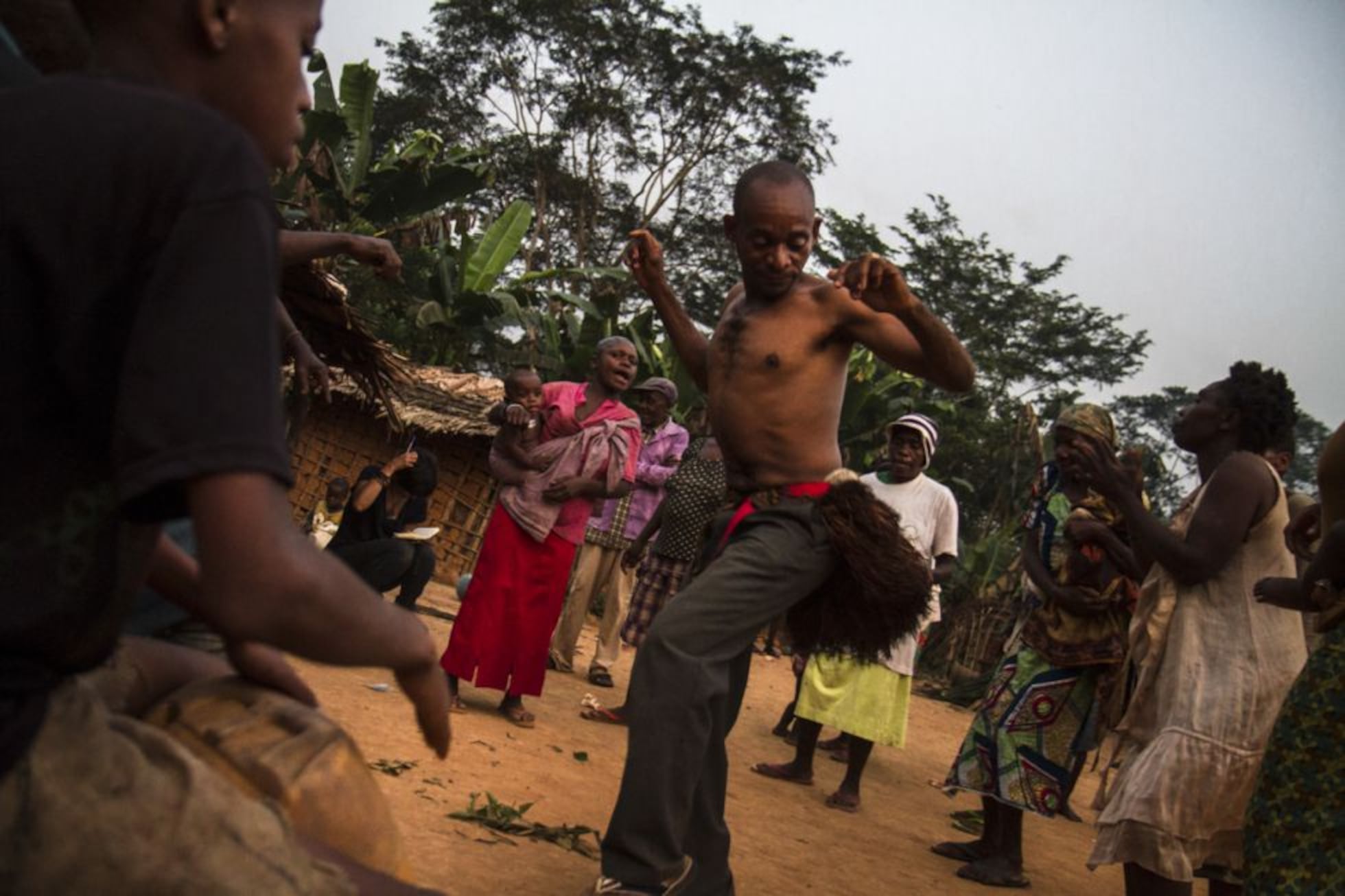 Los ‘baka’ quieren volver a casa | Fotos | Planeta Futuro | EL PAÍS