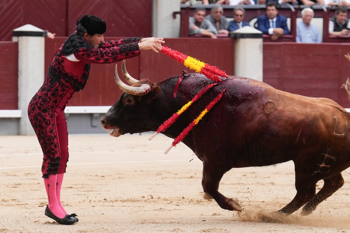 Sobre el premio de tauromaquia: Y sin embargo se mueve | Noticias de la ...