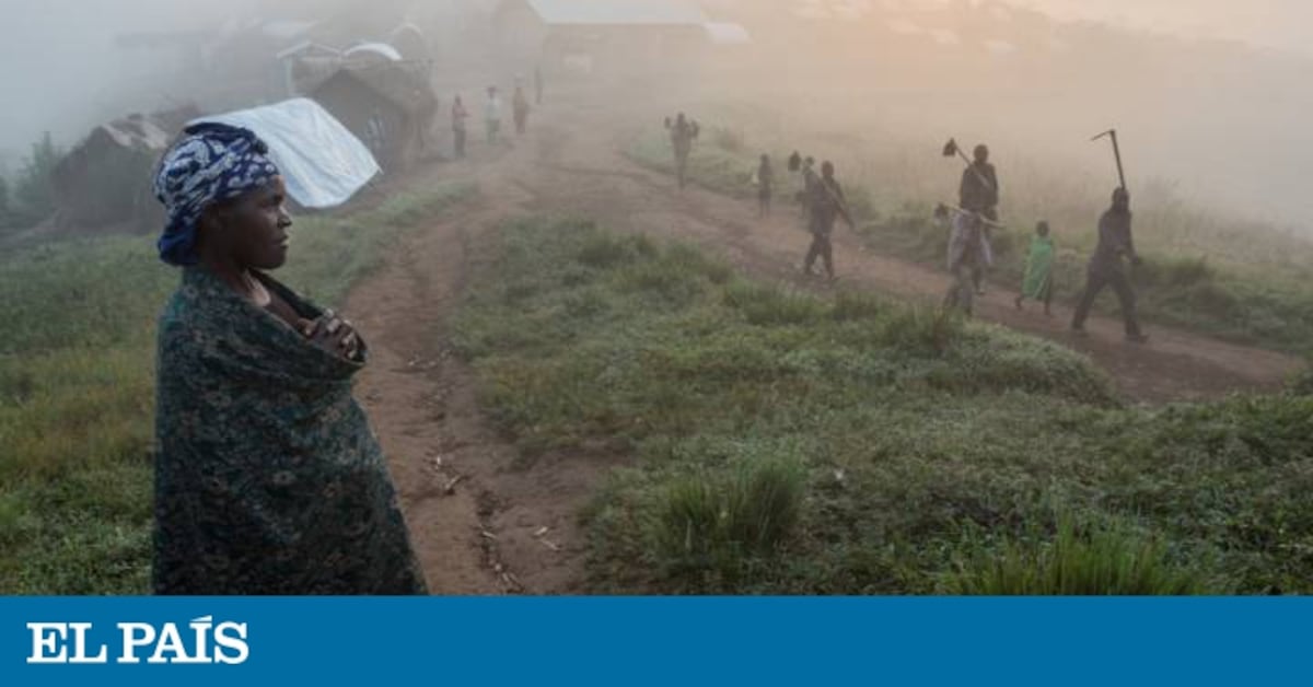 Conflictos: “En República Democrática del Congo cada día es una ...