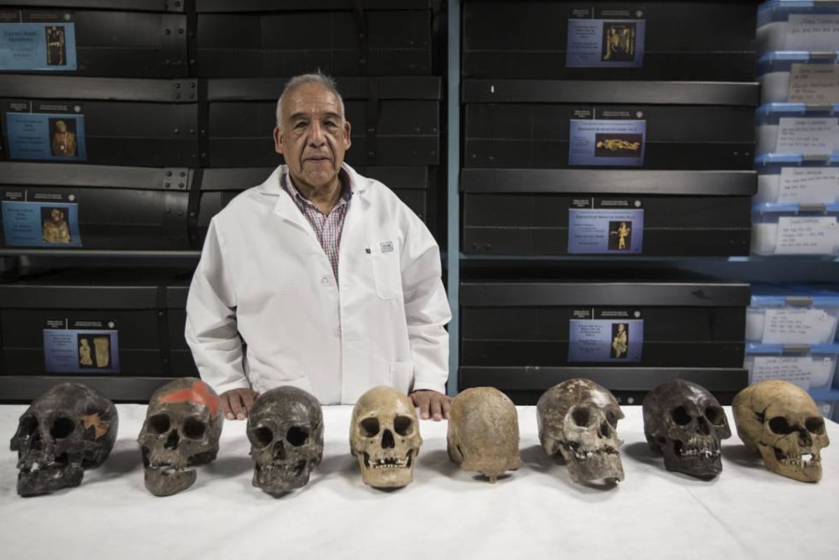 The history of the Americas: Mexico City’s seldom-seen bone collection ...
