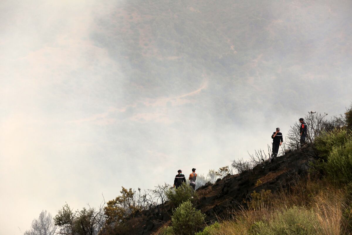 Wildfires across Algeria have killed 25 people, including 10 soldiers ...