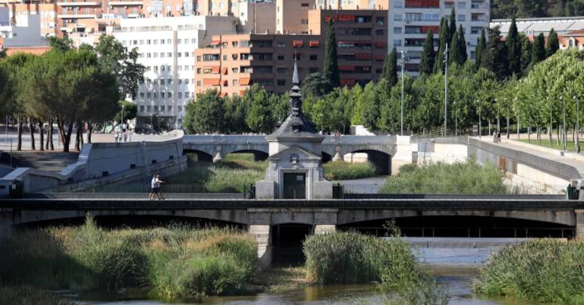 Madrid 2030, nuestro modelo de ciudad | Noticias de Madrid | EL PAÍS
