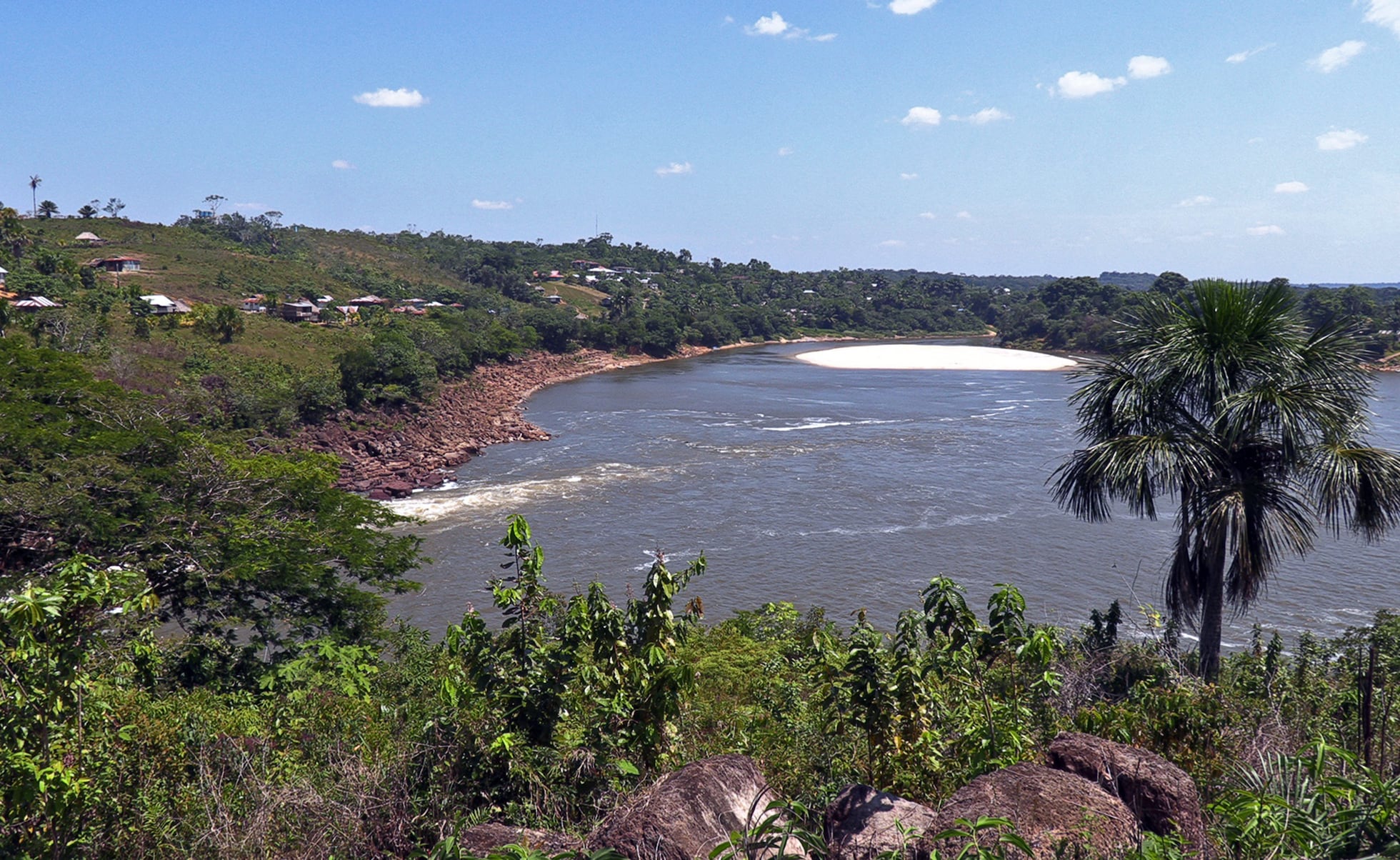 Una expedición científica para rescatar la biodiversidad de la Amazonía ...