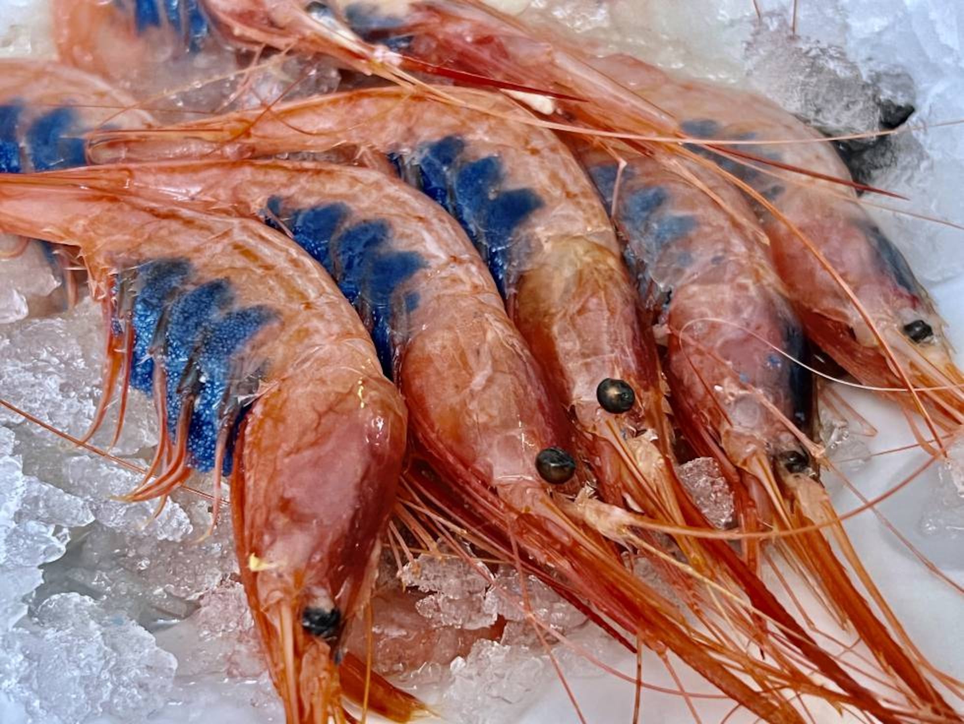 ¿Gambas blancas o rojas? ¿Es mejor comerlas crudas, cocidas, al vapor o ...