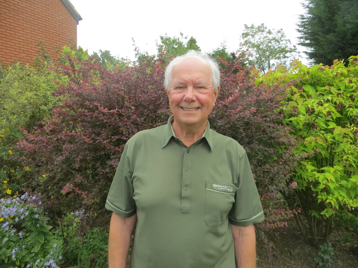 Ian Stewart: “Las mismas matemáticas que se pueden emplear para la ...