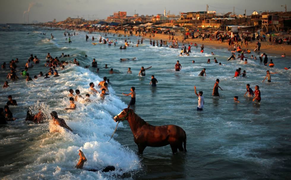 El verano en Gaza: la playa es una vía de escape a la guerra y la ...