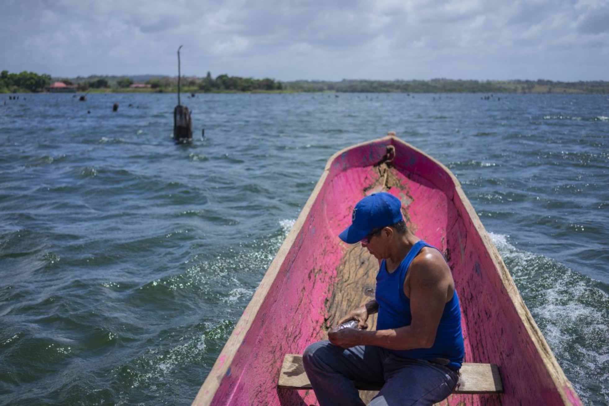 La vida en peligro alrededor del Canal de Panamá | Fotos | Fotos | EL PAÍS