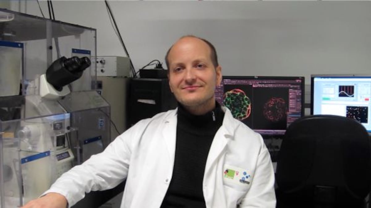 Un mecanisme de contacte cel·lular provoca el càncer | Ciencia | EL PAÍS