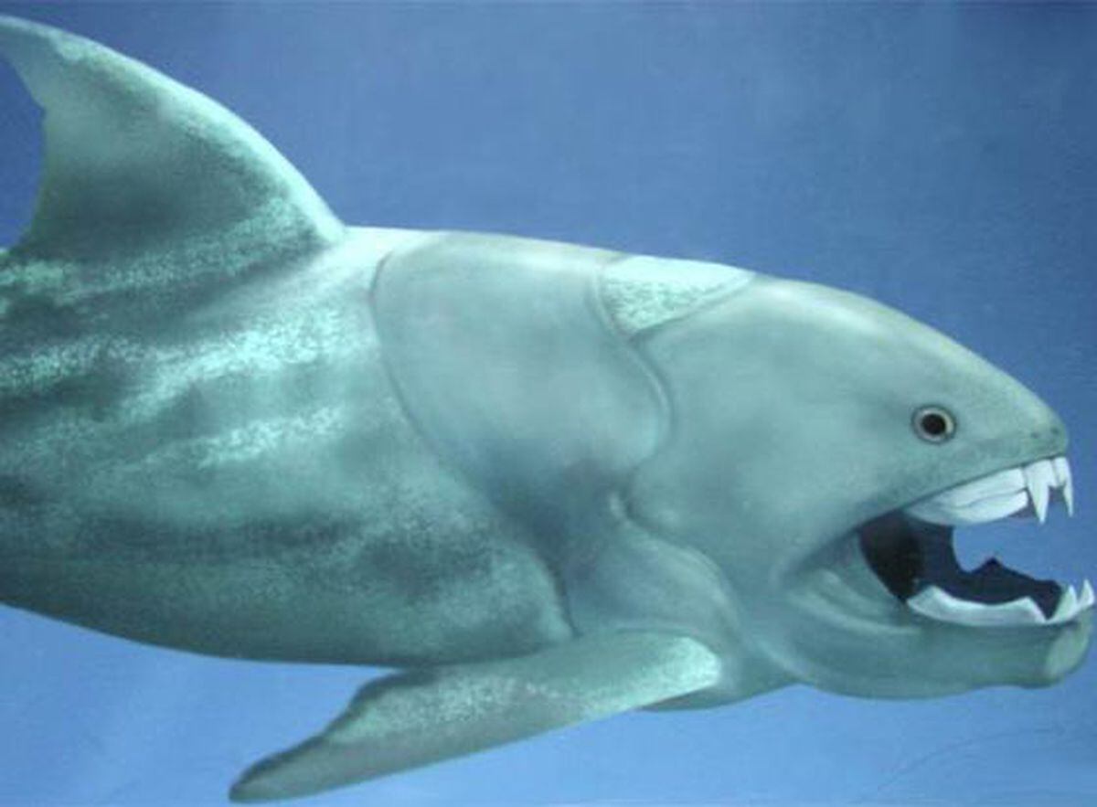 Las mandíbulas más poderosas de todos los tiempos | Sociedad | EL PAÍS