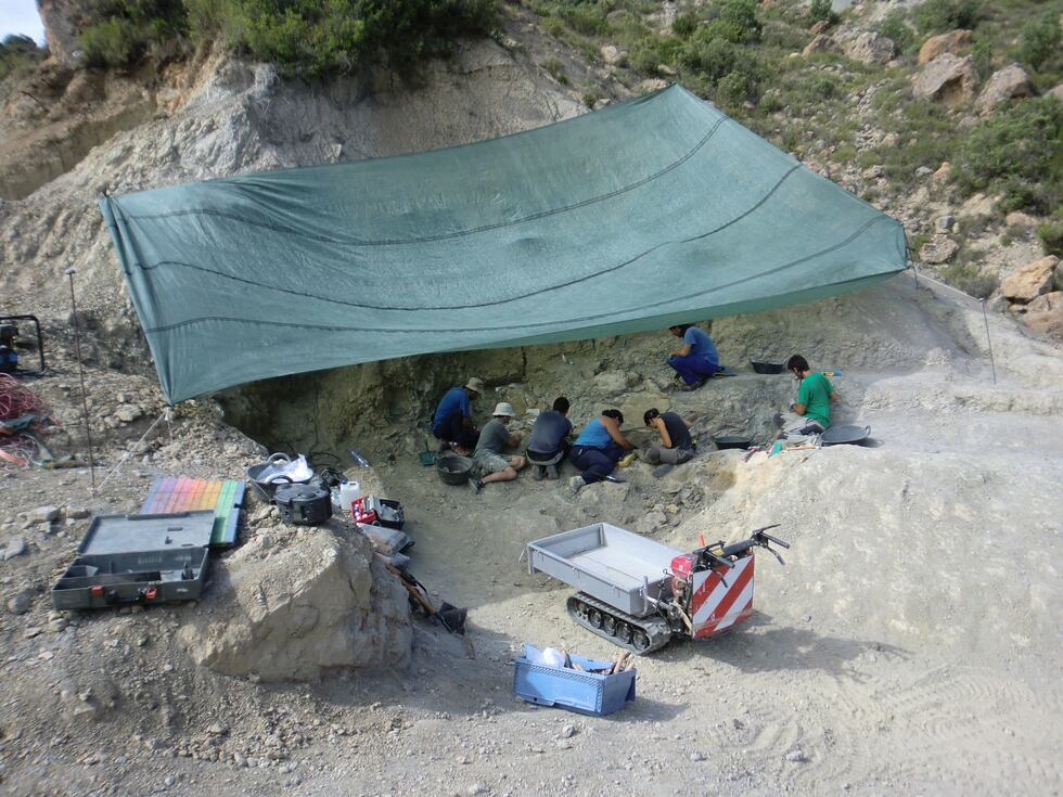 Abditosaurus kuehnei: Identificado en el Pirineo catalán un nuevo ...
