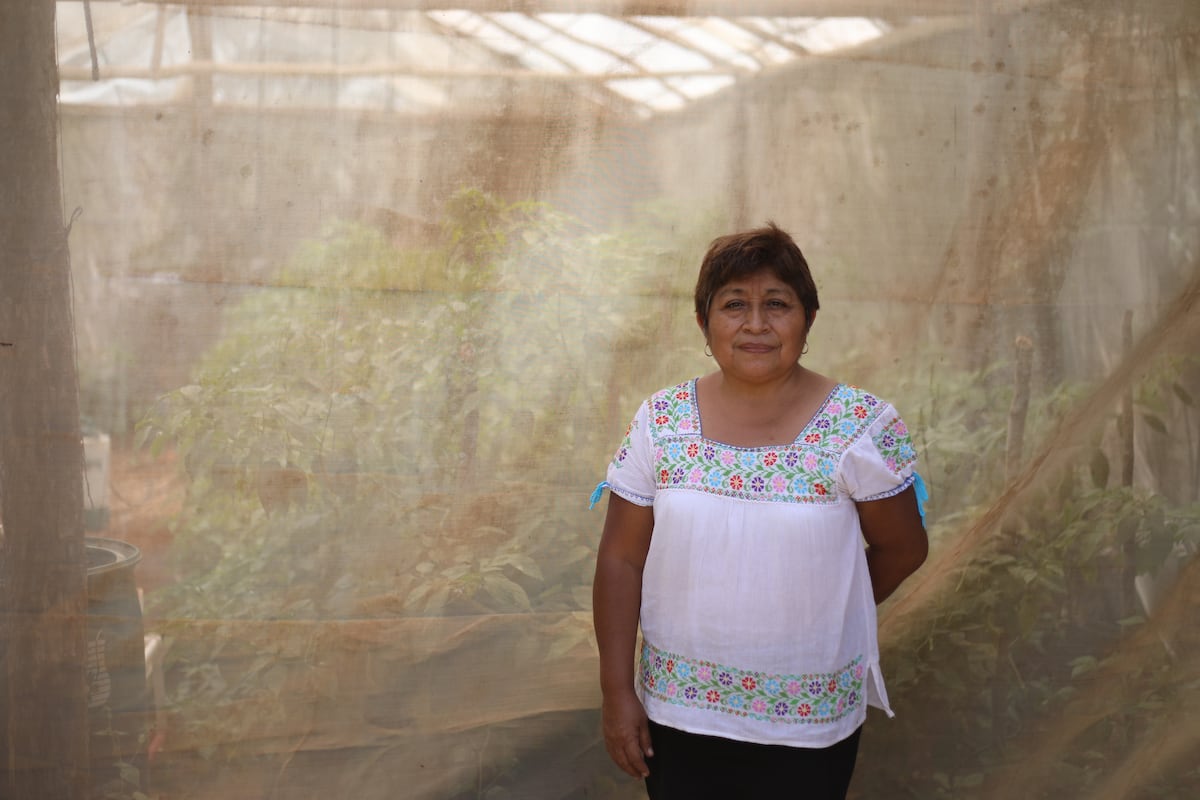 Leydy Pech: “La industria ha ganado la conciencia de la gente” | EL ...