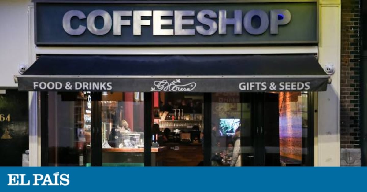 Consumo drogas: Prohibido fumar hachís en el centro de La Haya ...