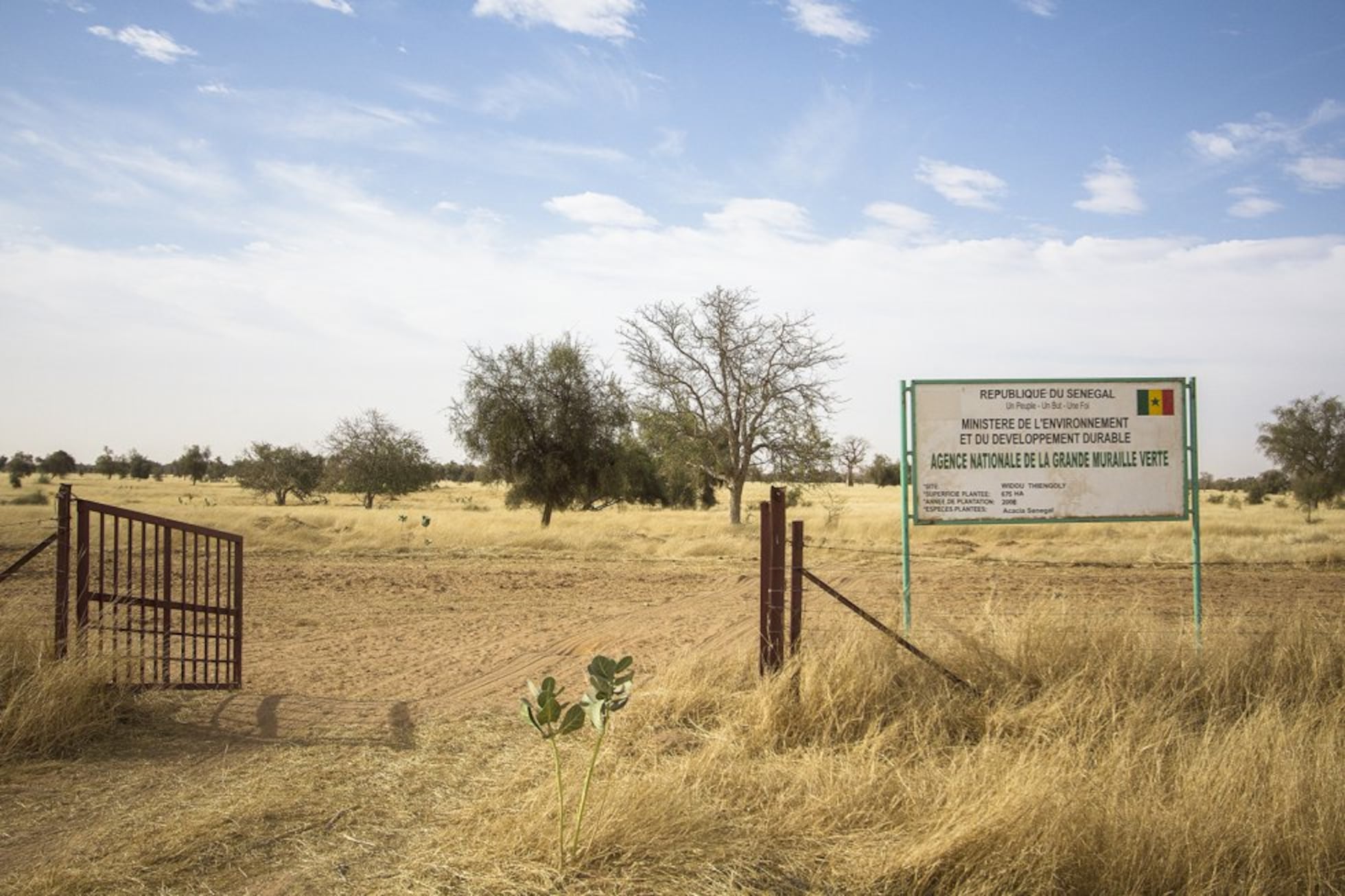 Senegal El Ferlo, un desierto que invoca a la lluvia: El Ferlo, un ...