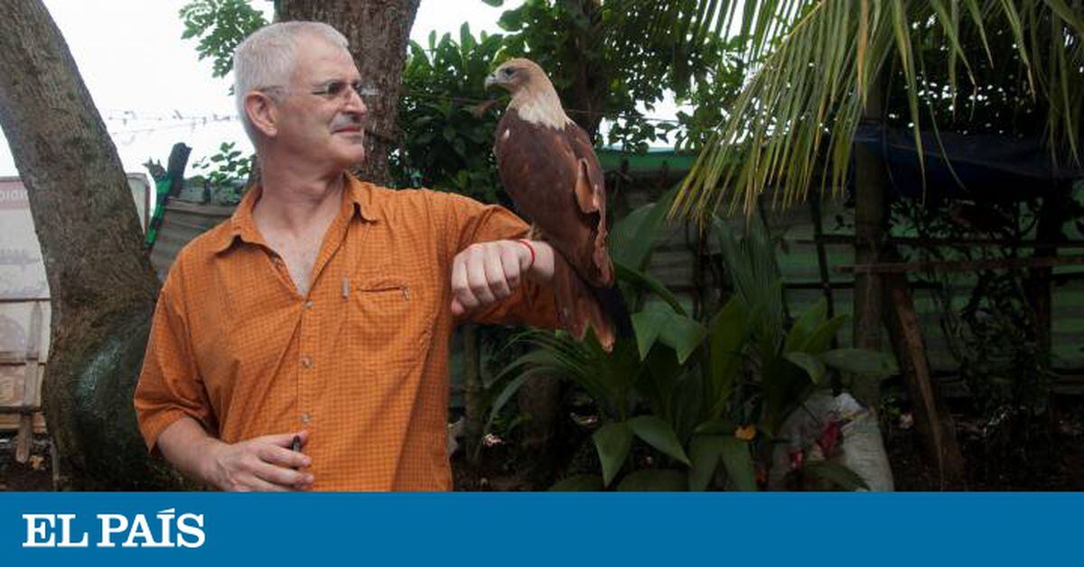 Raimon Portell gana el Premio Nacional de Literatura Infantil y Juvenil ...