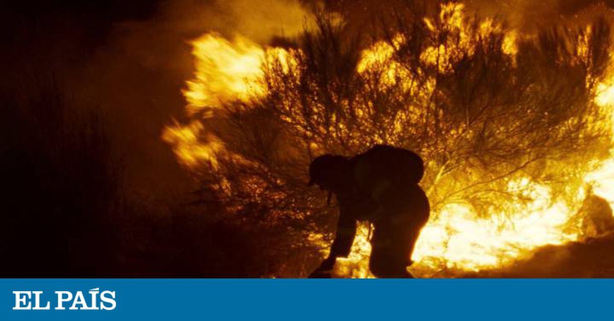 ‘O que arde’, un mundo arrasado por el fuego | Cultura | EL PAÍS