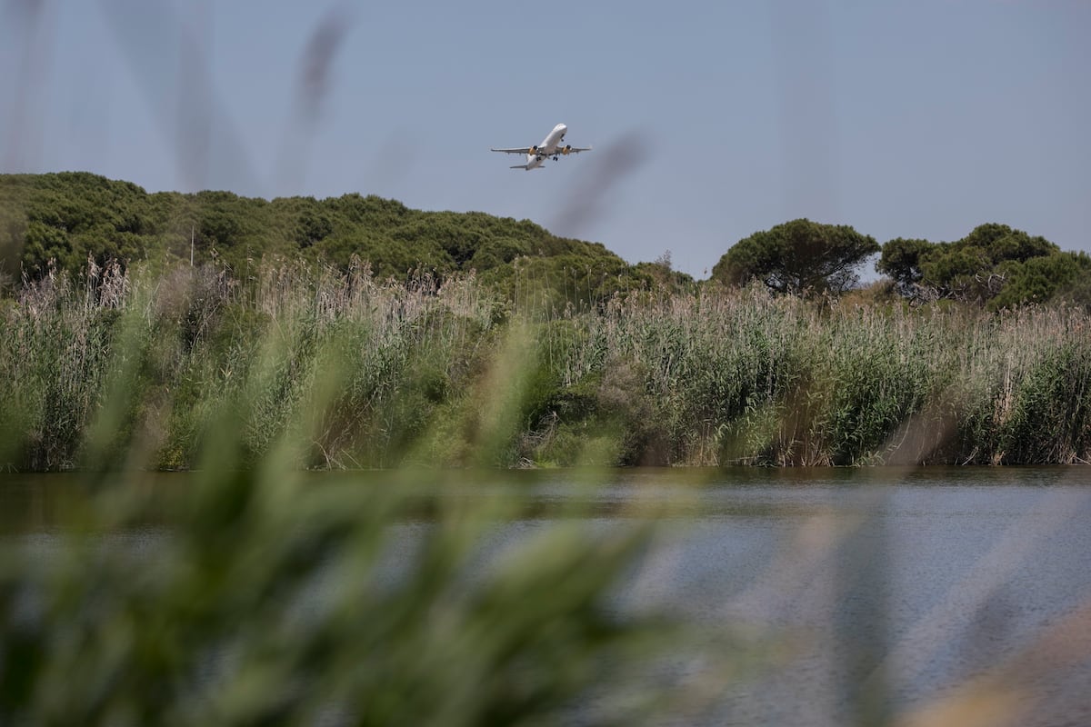 “La laguna de La Ricarda es insustituible” | Noticias de Cataluña | EL PAÍS